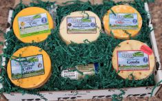 Arena Cheese, Inc. - Products